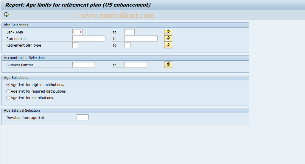 RTP US R2 SAP Tcode Retirement Plan Age Limit Report Transaction Code