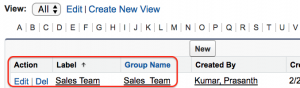 How to create Public groups in Salesforce