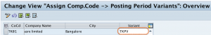 Assign Variants to Company Code in SAP