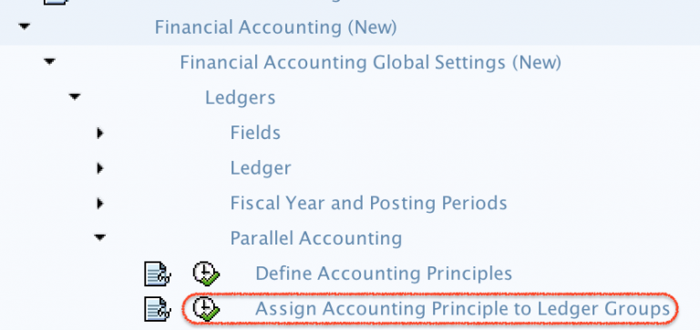 How to Define Accounting Principles in SAP