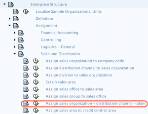 Assign Sales organization, Distribution Channel, Plant in SAP