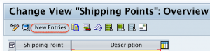 How to define Shipping point in SAP | What is Shipping Point
