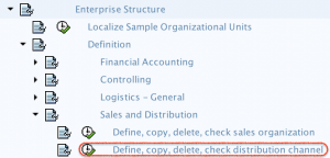 How to Define Distribution Channel in SAP