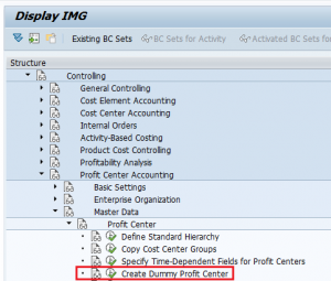 Create Dummy Profit Center in SAP