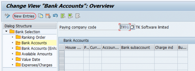 Automatic Payment Program Run in SAP FI -Customize Payment Program