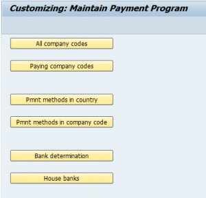 Automatic Payment Program Run in SAP FI -Customize Payment Program