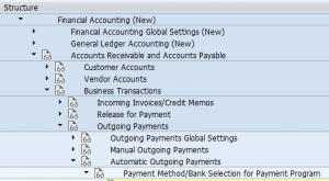 Automatic Payment Program Run in SAP FI -Customize Payment Program