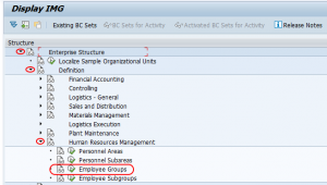 SAP HR - Define Employee Group in SAP