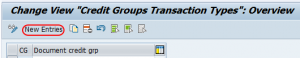What is Credit group | How to Define Credit Groups in SAP