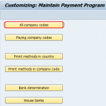 Automatic Payment Program Run in SAP FI -Customize Payment Program