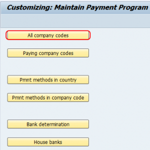Automatic Payment Program Run in SAP FI -Customize Payment Program