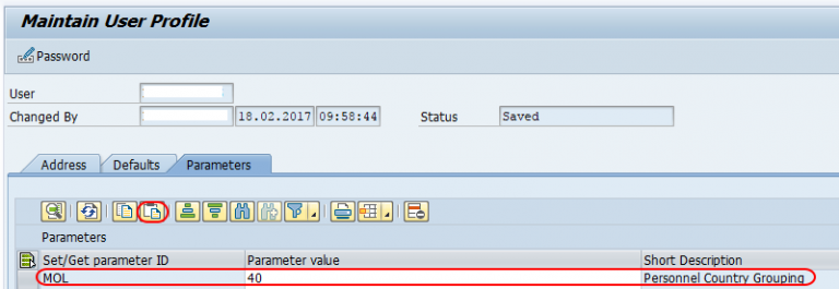 SAP HR - Maintain User Parameters in SAP