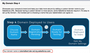 How to create Salesforce Custom domain | Salesforce my domain