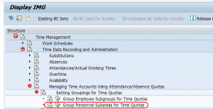 SAP HR - Settings group for time quotas