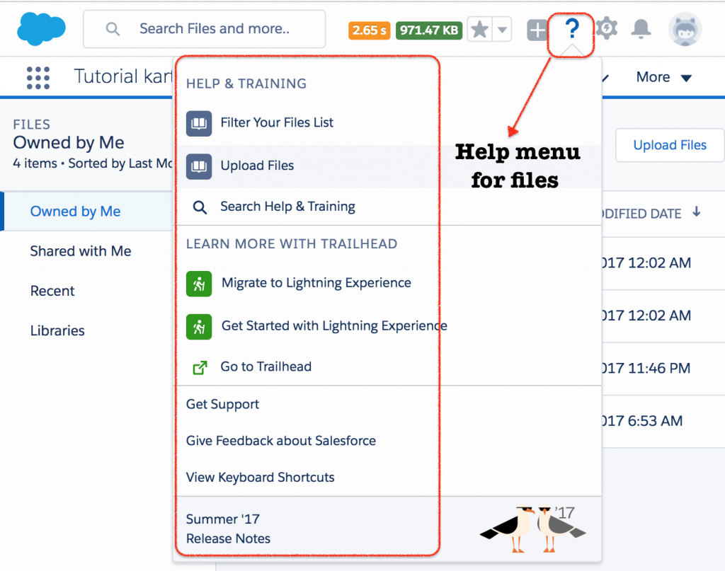 Switch to Lightning Experience | Navigation and Setup