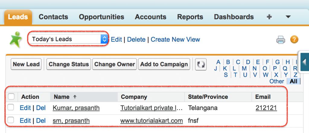 Salesforce Web to Lead Forms - Lead Management