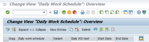 SAP HR - Daily Work Schedules, Break schedules