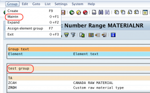 SAP MM - Define Number Ranges for Material Type