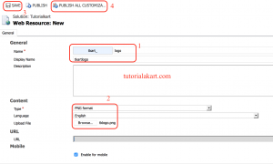 What are Web Resources in Dynamics 365 , Create and Edit