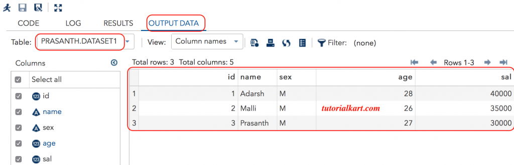 Sas Datasets