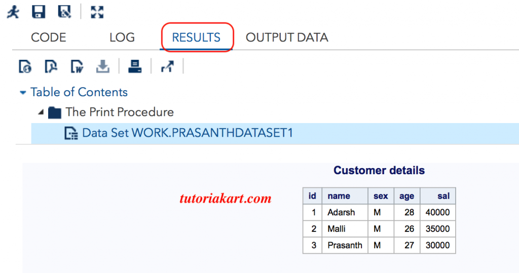 Sas Infile Statement Read Raw Data