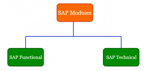 What is SAP? Definition of ERP SAP Software Systems