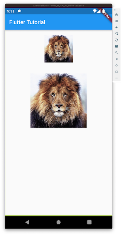 How To Set Image Height In Flutter 