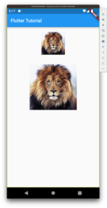 How to set Image Width in Flutter?