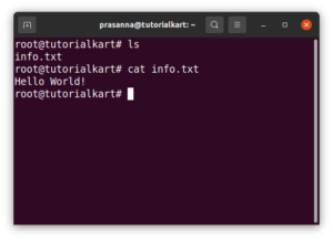 Linux - Display contents of a file