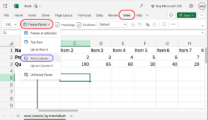 How to Freeze Columns in Excel? Steps and Examples