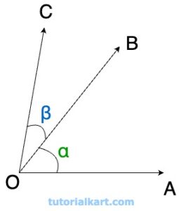 What is the meaning of Adjacent Angles? - Examples