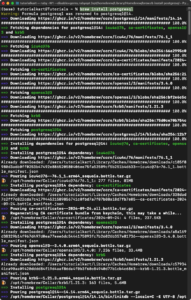 How to Install PostgreSQL on Mac? Detailed Steps