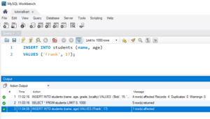 SQL INSERT Statement - Syntax and Examples [4]