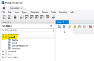How to Select a DATABASE in MySQL? Command and Steps