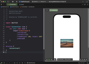 SwiftUI - Image - Syntax and Basic Examples [2]