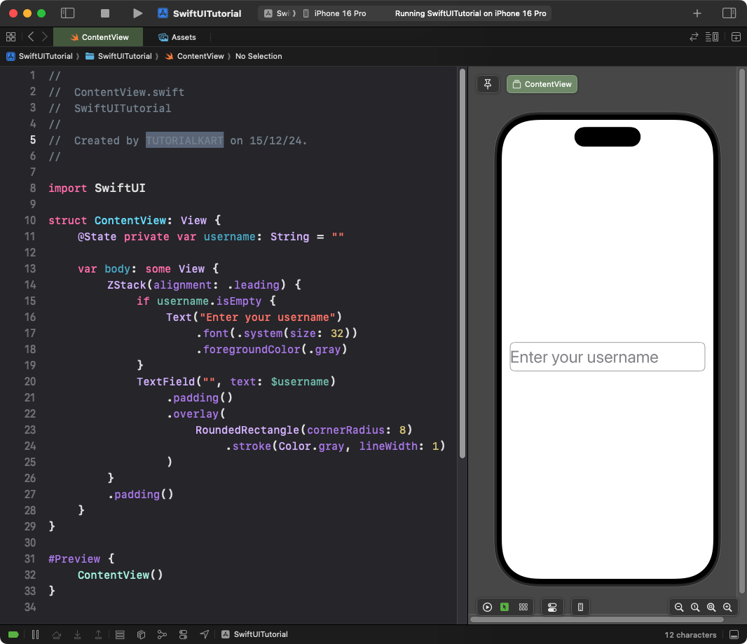 SwiftUI - TextField Placeholder Size - Examples [2]