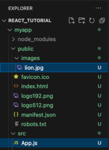 React How To Access Public Folder Example 1