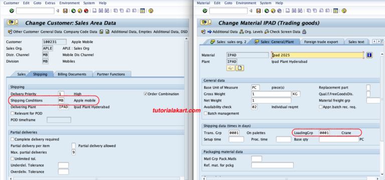 Shipping Point Determination in SAP
