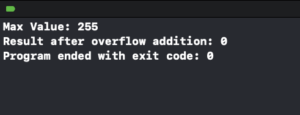 Swift Arithmetic Overflow Operators