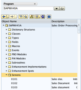GUI Titles in SAP: Configuration