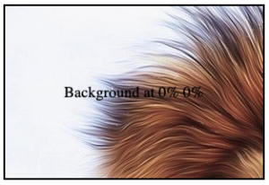 CSS background-position Property