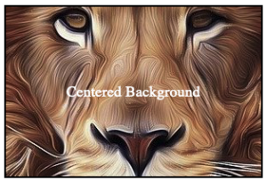 CSS background-position Property