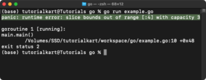 Go – Slice Bounds Out of Range – Examples and Solutions