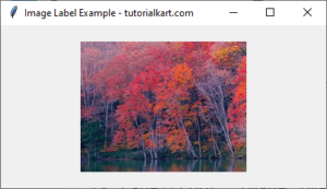 How to Set Specific Width for Label in Tkinter Python