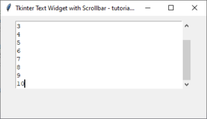 How to Set Specific Size for Text Widget in Tkinter Python