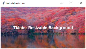 How to Set Background Image for Label in Tkinter Python