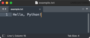 How to Close a File Properly in Python