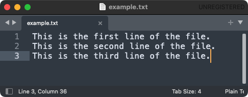 How to Overwrite an Existing File in Python