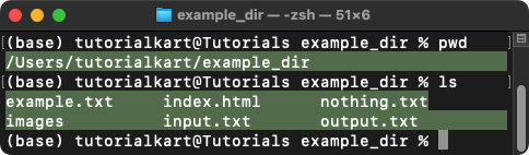 How to List All Files in a Directory Using Python